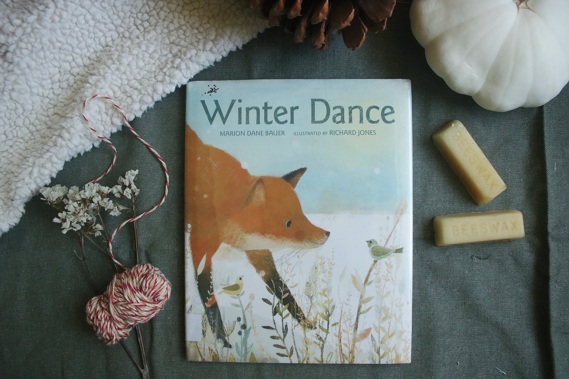 Winter Book List for Kids: Cozy Picture Books for Family Read Alouds ...