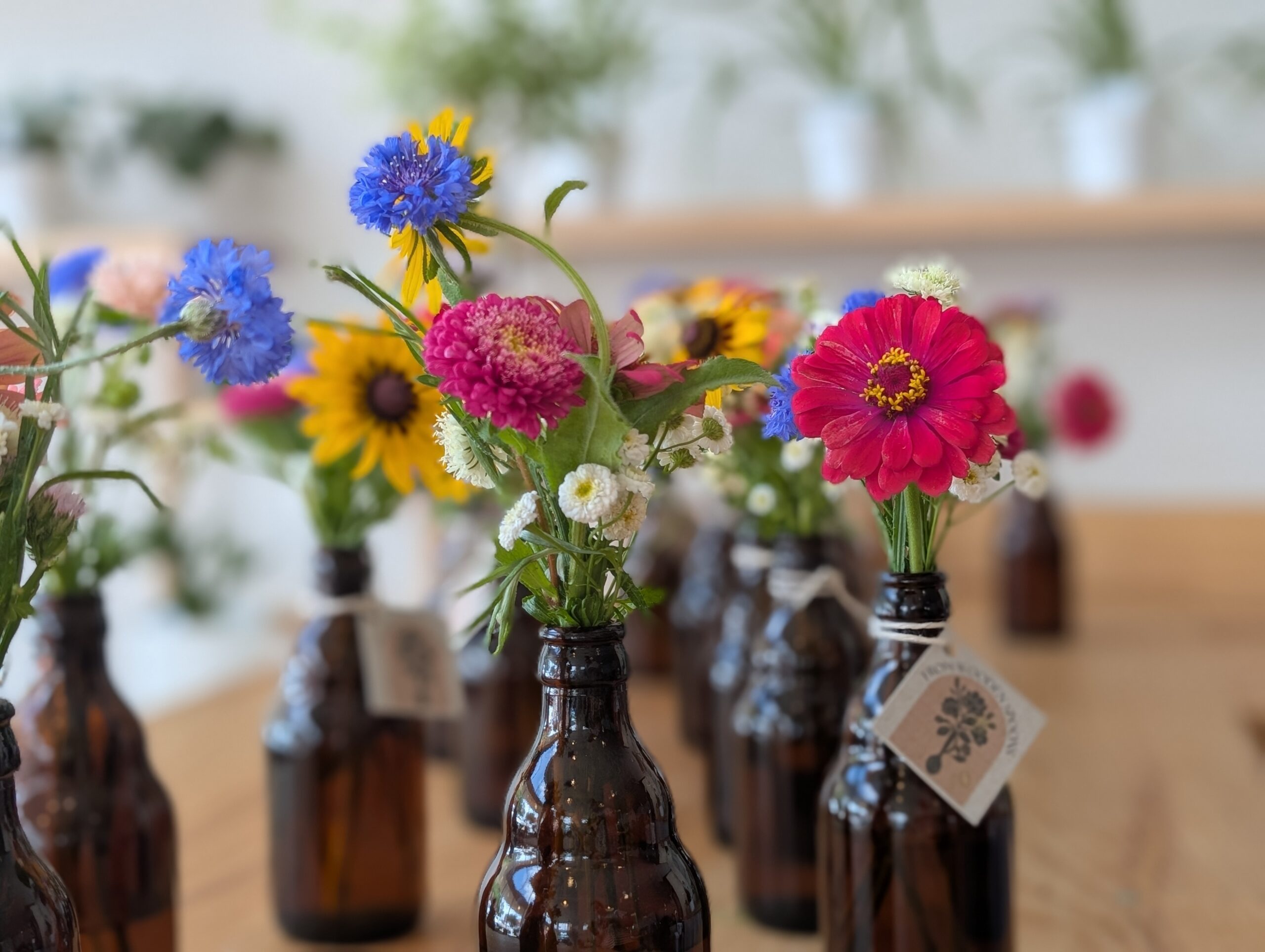 10 Heat-Loving Flowers for a Summer Cutting Garden - From Wooden Spoons